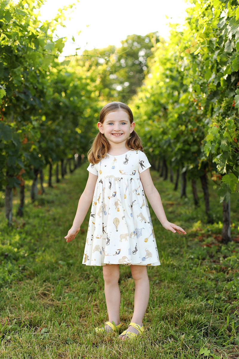 Perry – Little Lizard King