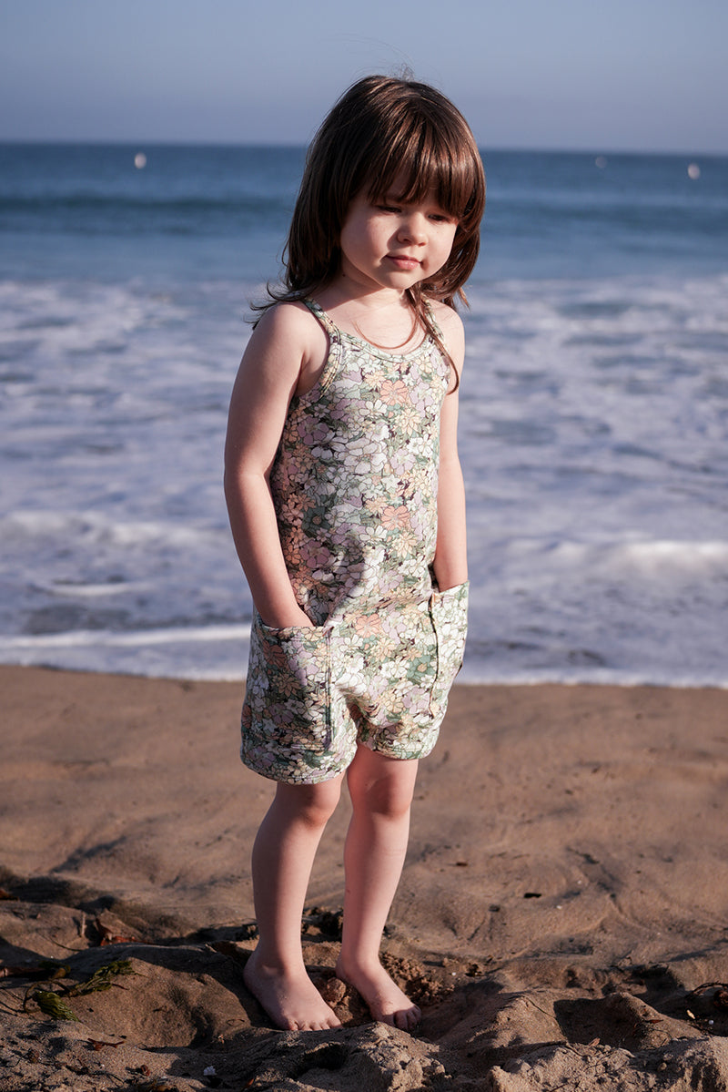 Fripp – Little Lizard King