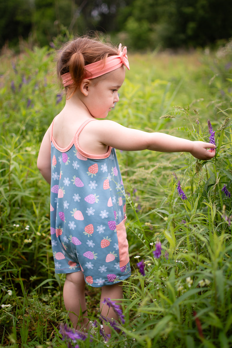 Fripp – Little Lizard King