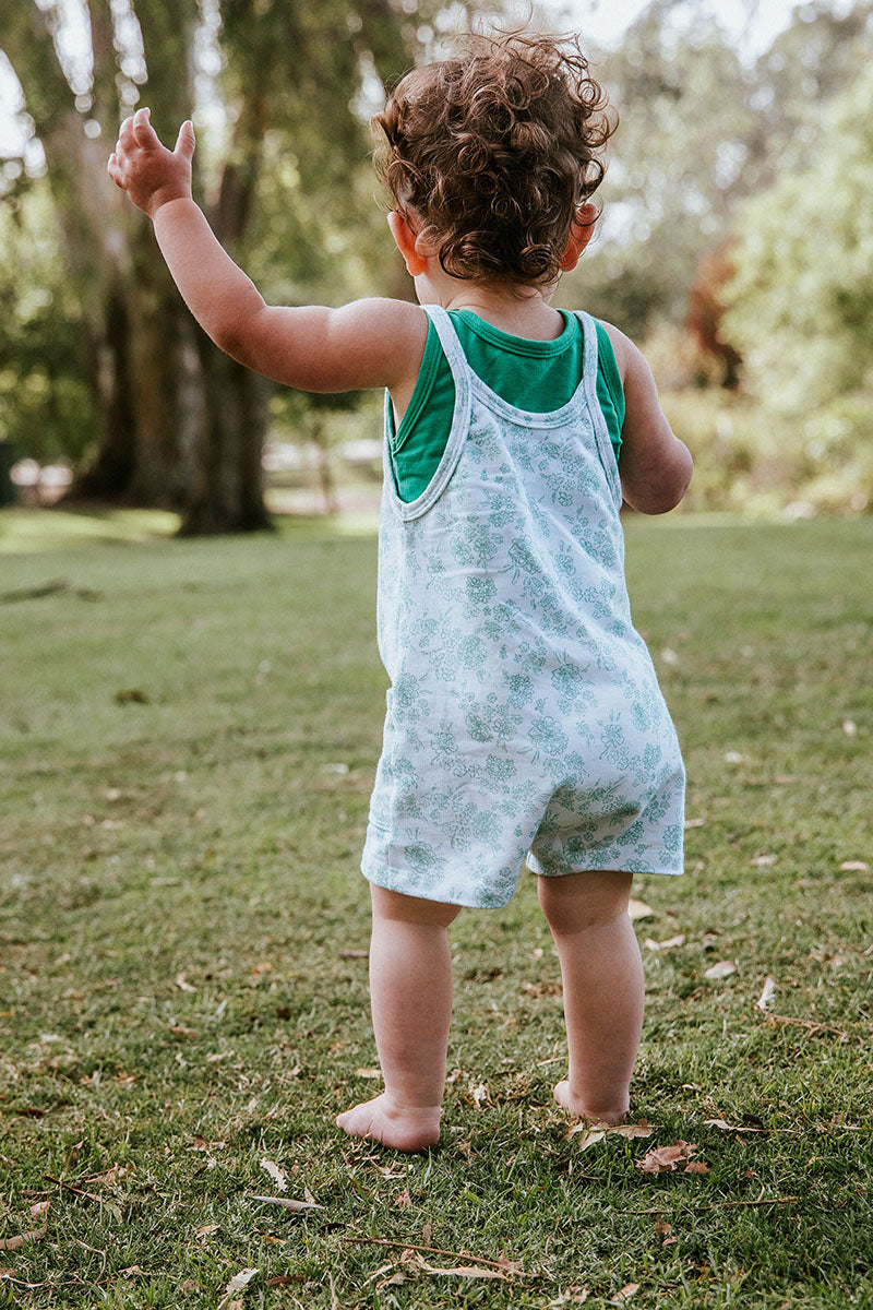 Fripp – Little Lizard King