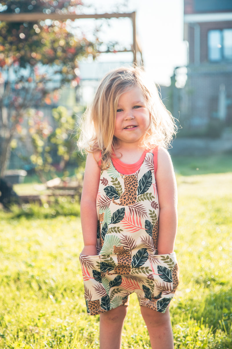 Fripp – Little Lizard King