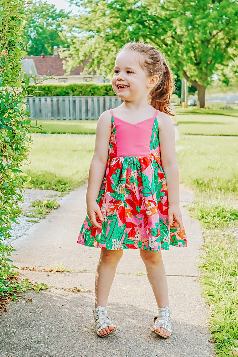 Palma – Little Lizard King