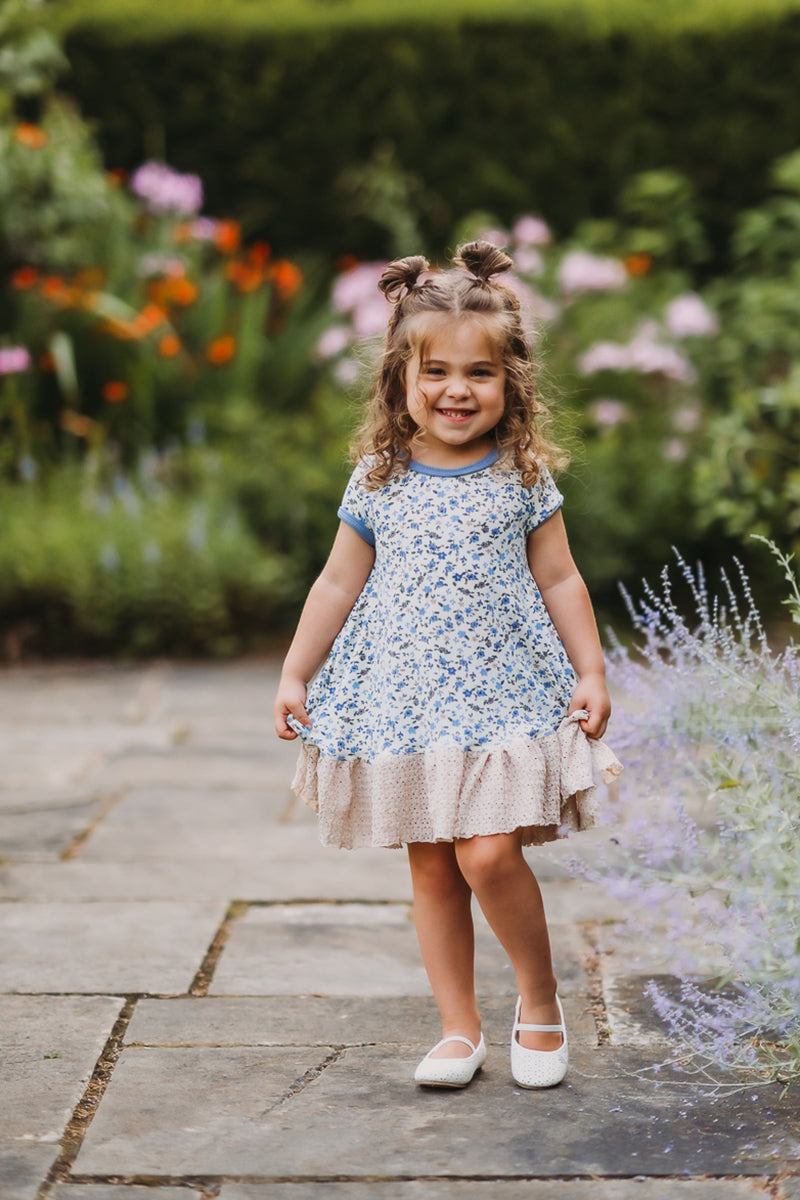 Sutton – Little Lizard King