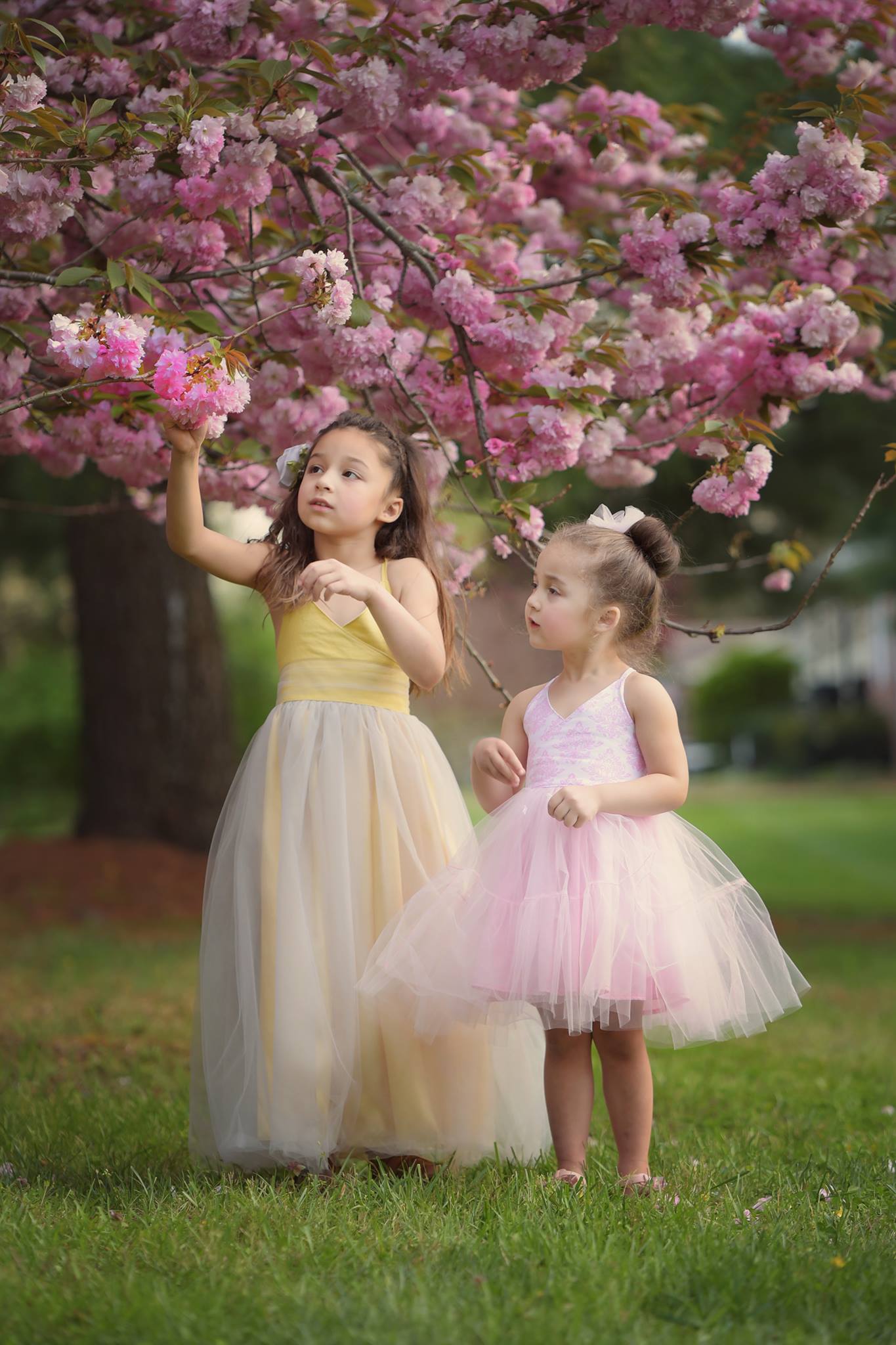 Lexington – Little Lizard King