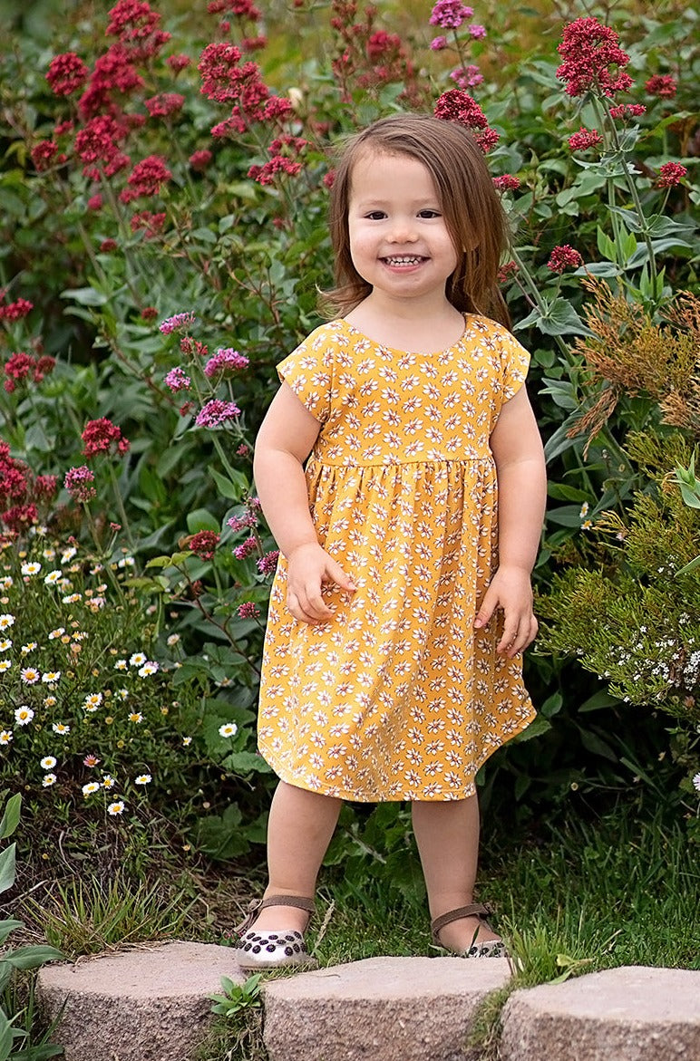 Hadley – Little Lizard King