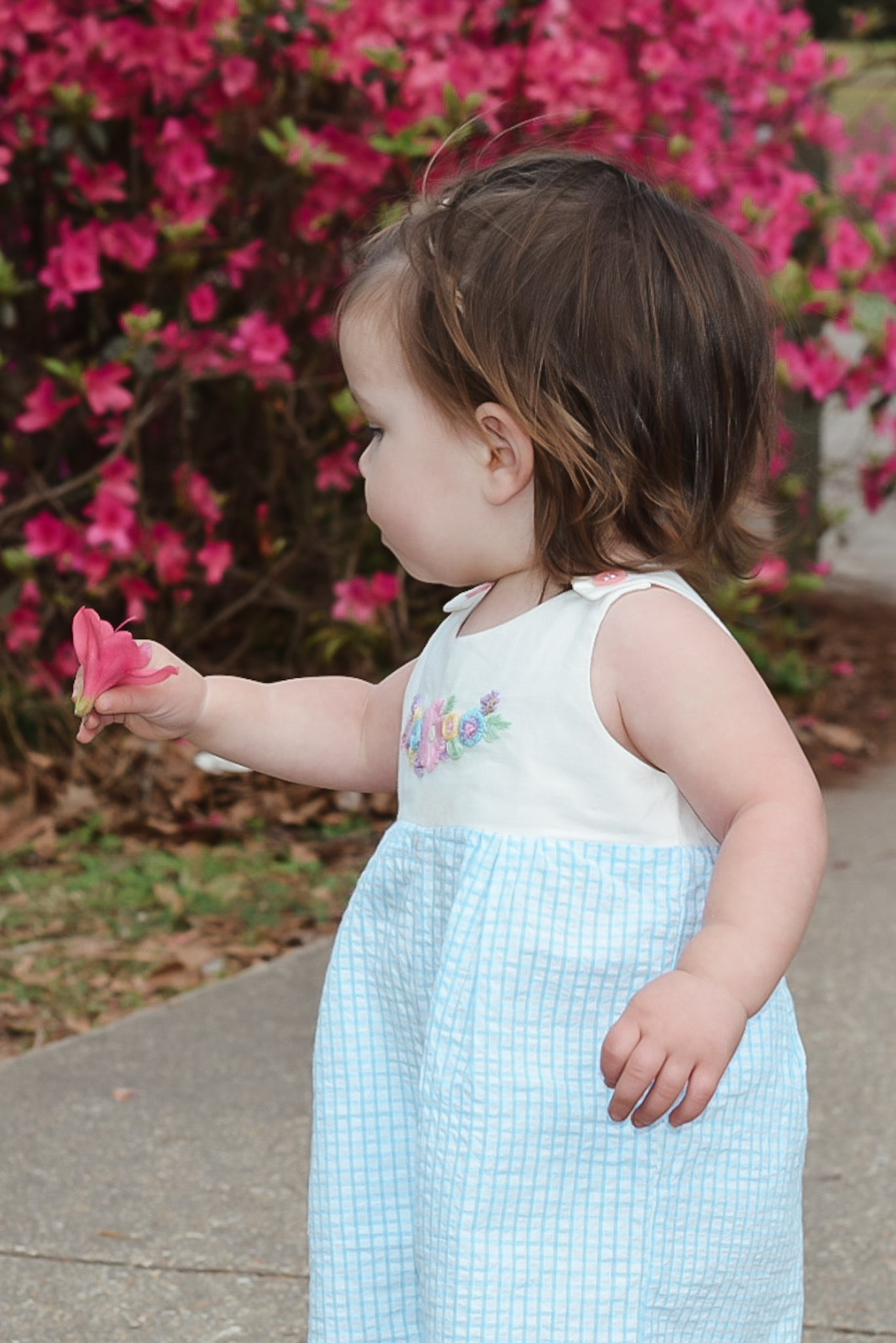 Hanna Baby – Little Lizard King