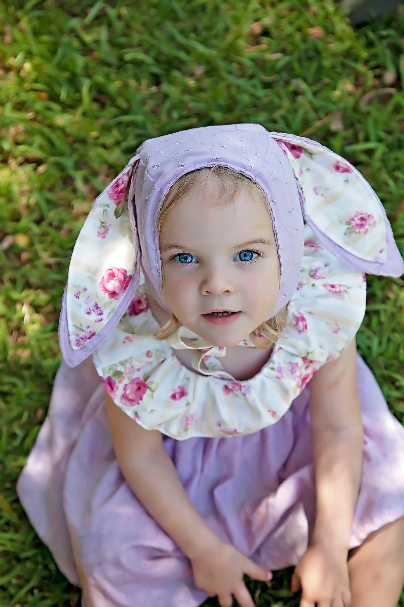 Avignon Bonnet – Little Lizard King